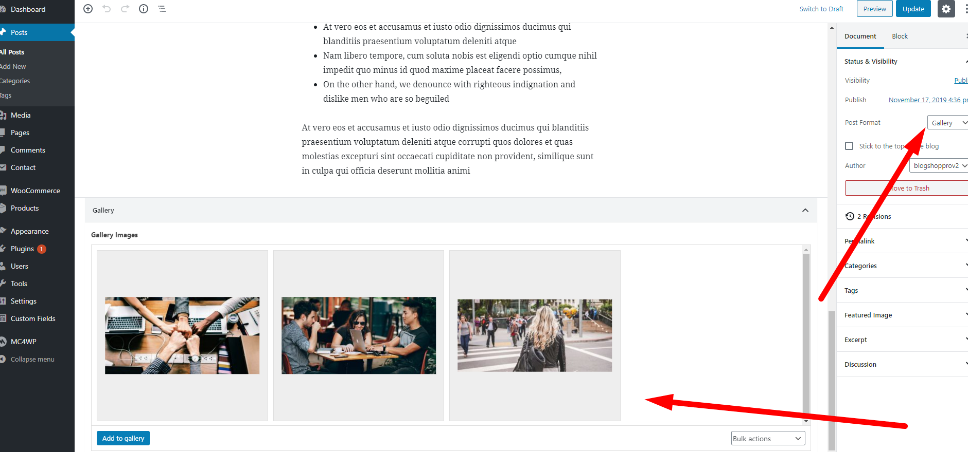 BlogShop Documentation | Best Wordpress Theme - Theimran.com